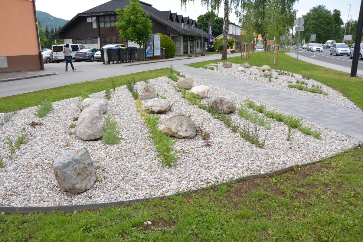 Prenova parkovne zasaditve ob Gorenjski cesti - medvode.si