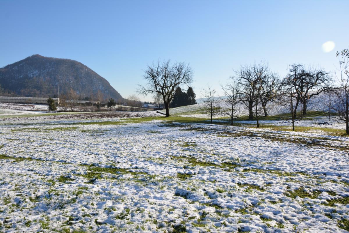 Gradnja ceste ob Bošnici - medvode.si